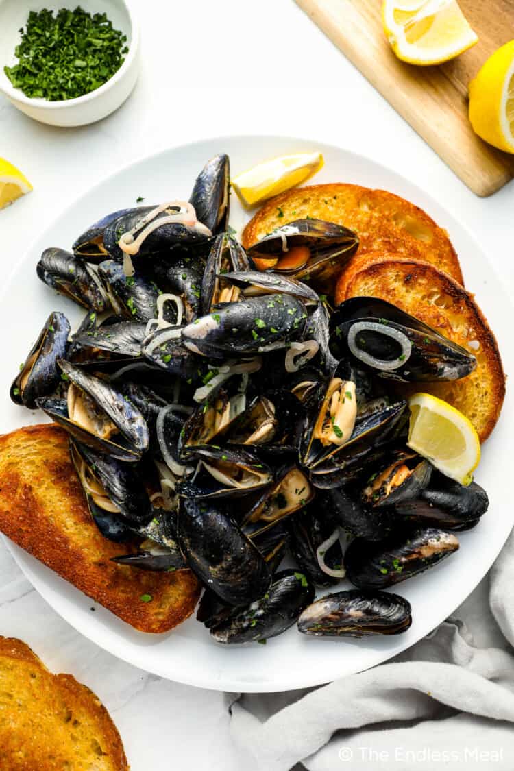 How to Cook Mussels + a mussels in white wine recipe!