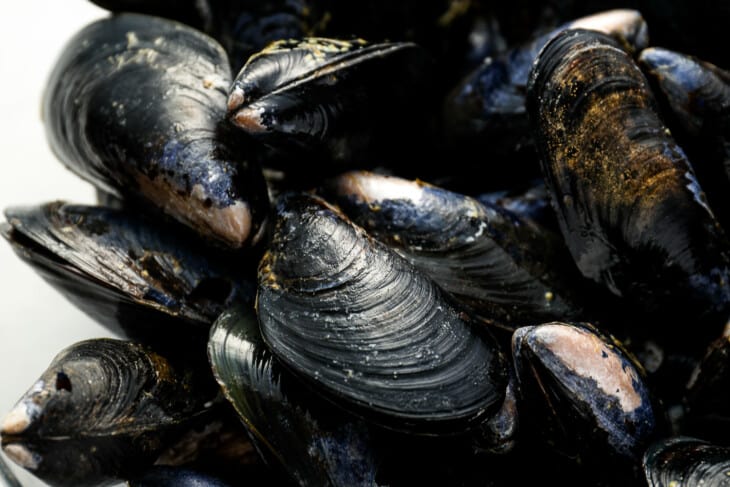 How to Cook Mussels + a mussels in white wine recipe!