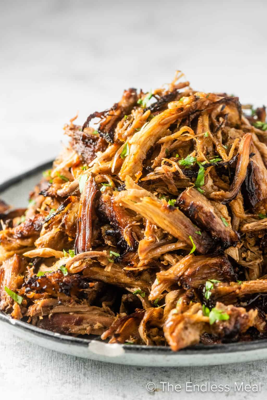 Pork Carnitas (Mexican Pulled Pork) - The Endless Meal®