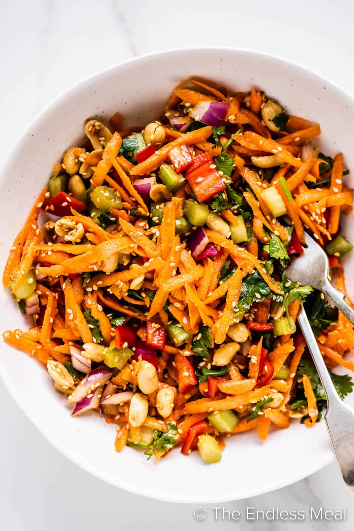 Best Asian Salad Recipe with Sesame Ginger Dressing