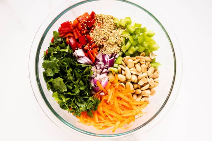Best Asian Salad Recipe with Sesame Ginger Dressing